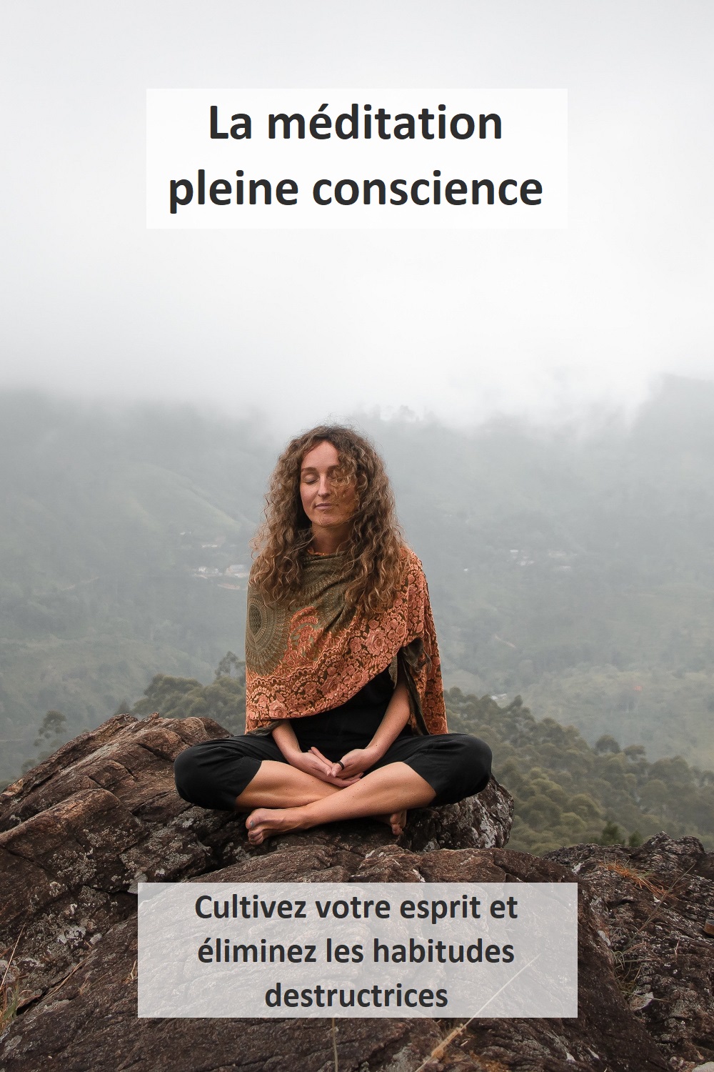 La méditation pleine conscience