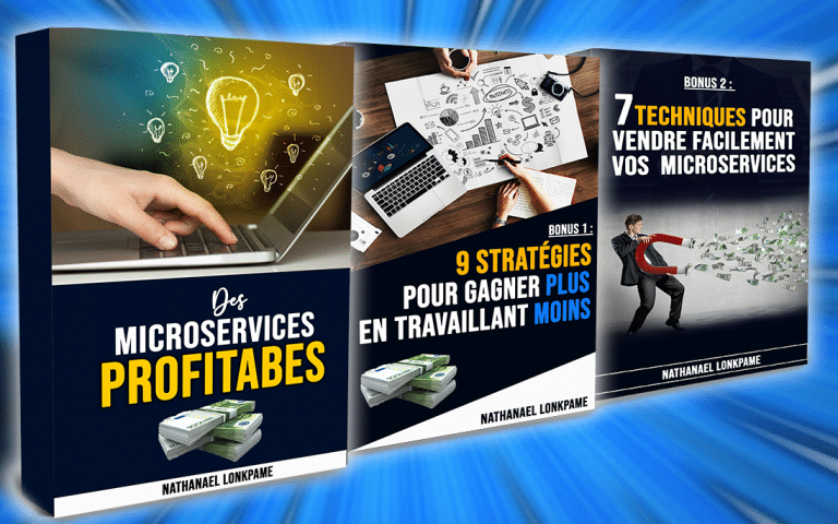 3000€ Par Mois Avec Des Micro services Profitables - Boutique-Virtuel.com